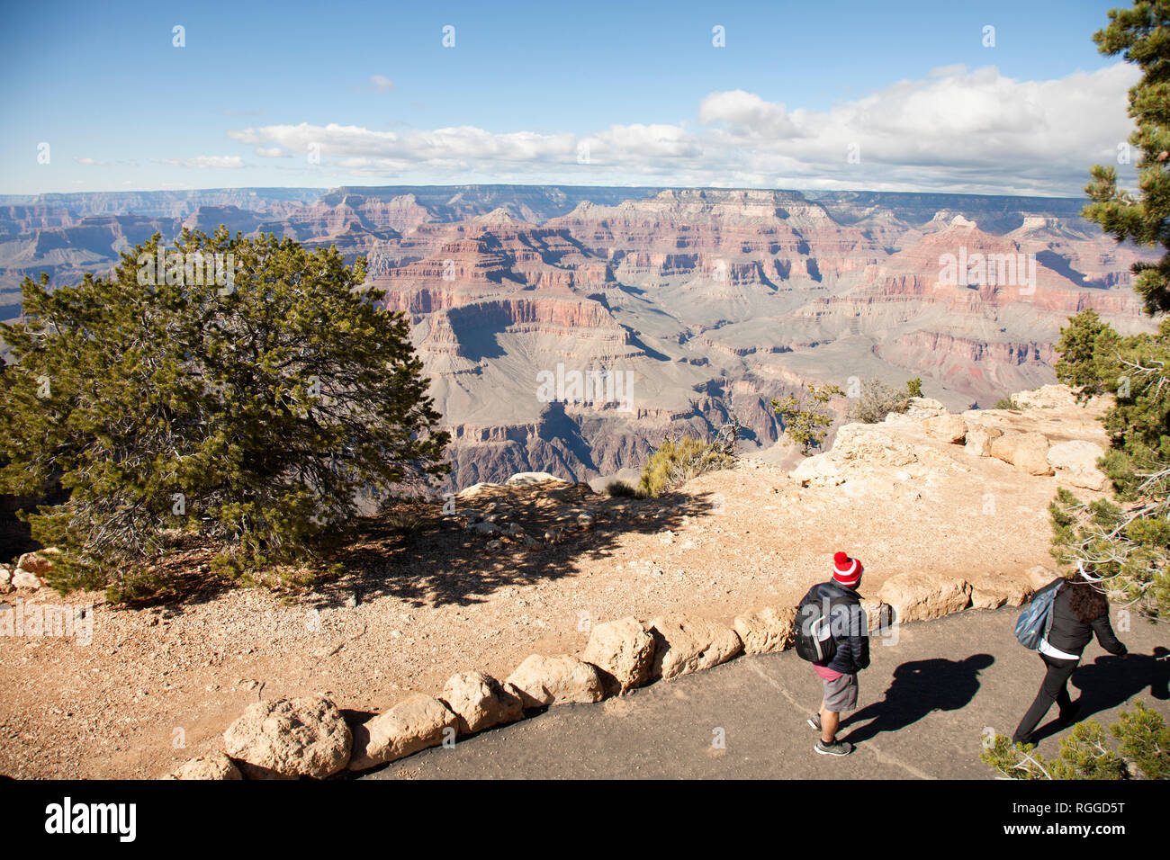 view of the Grand Canyon from powell point Stock Photo - Alamy