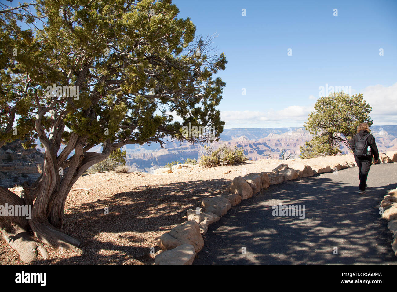 view of the Grand Canyon from powell point Stock Photo - Alamy