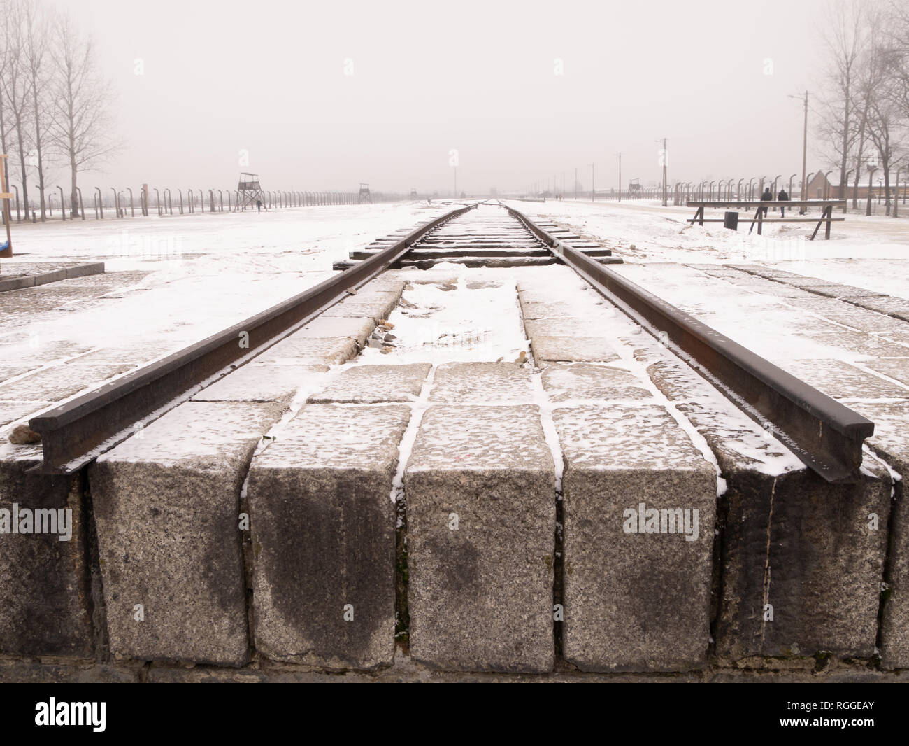 Auschwitz birkenau railway tracks hi-res stock photography and images ...