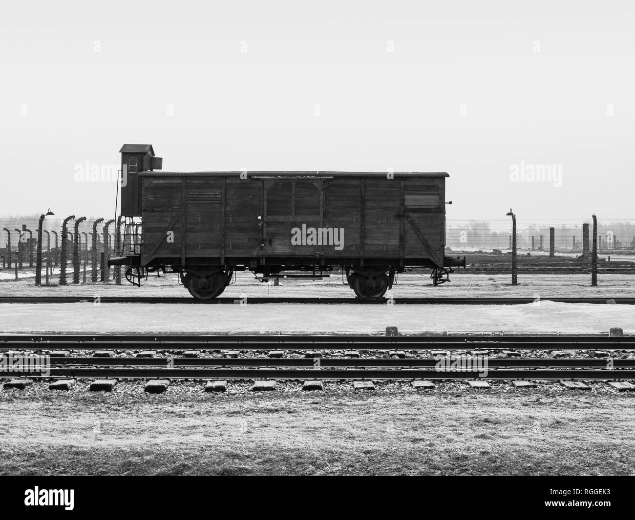 Railway carriage, cattle truck, transport, Auschwitz-II Birkenau ...