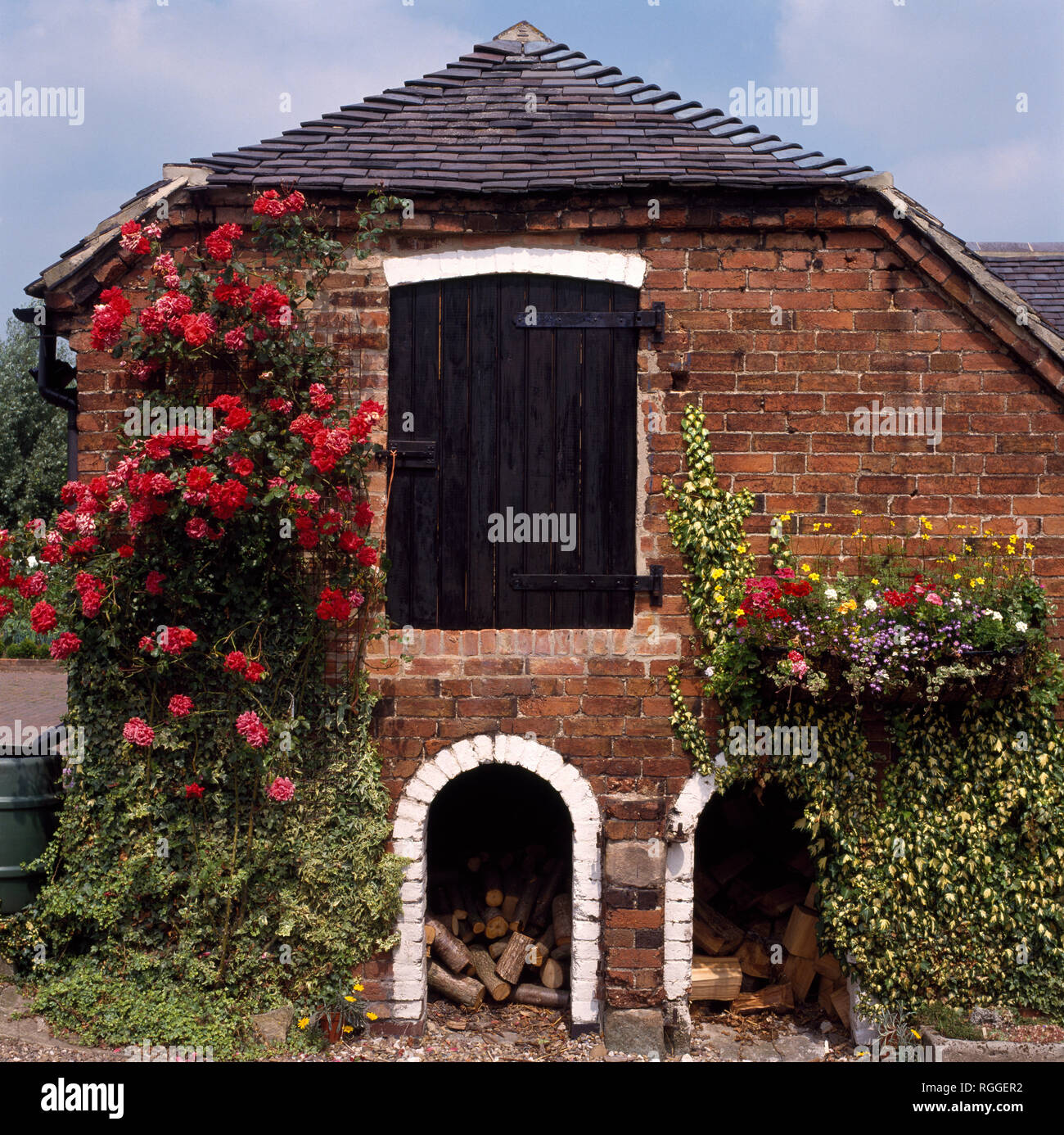 Red climbing roses hi-res stock photography and images - Alamy