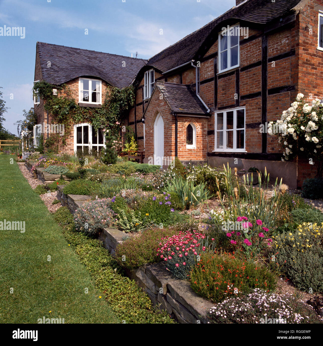 Alpines in raised bed hi-res stock photography and images - Alamy