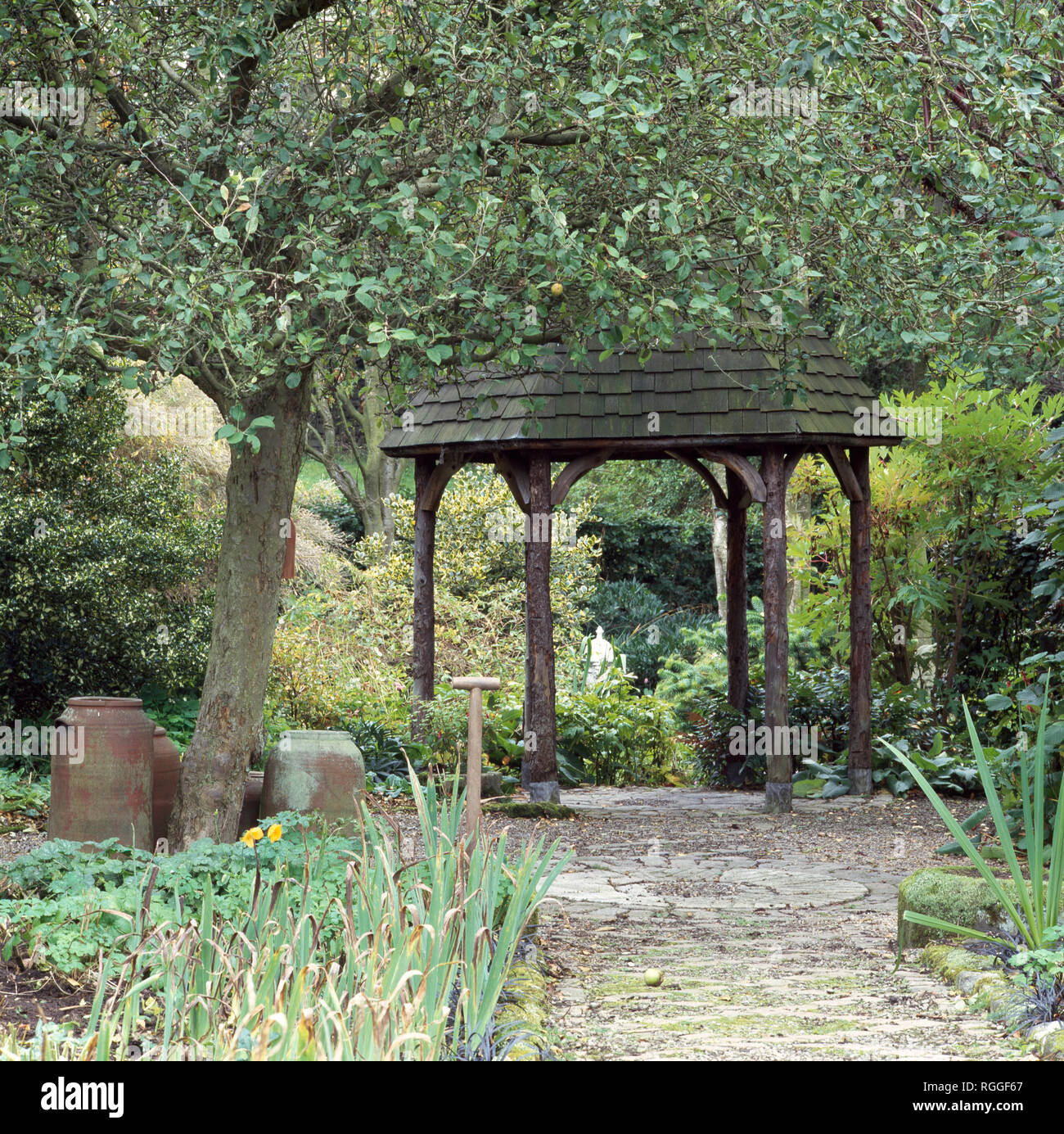 Wooden arbour beneath small tree in country garden Stock Photo - Alamy