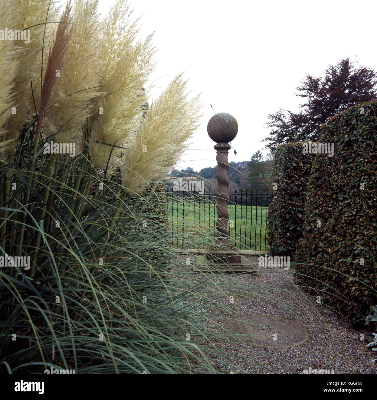 Pampas grass beside gravel path to tall stone pillar Stock Photo - Alamy