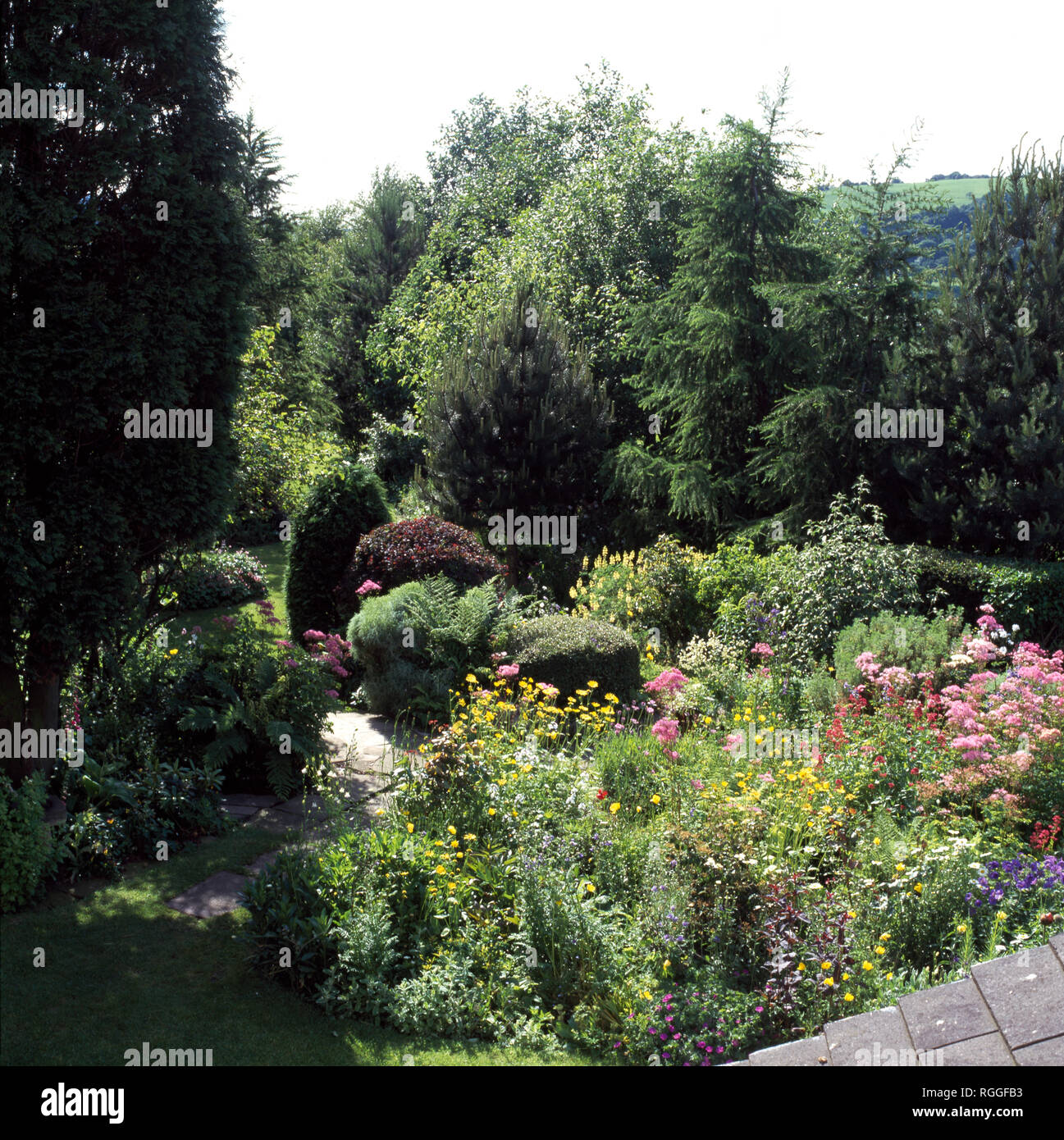 Colourful perennials in large garden border Stock Photo - Alamy