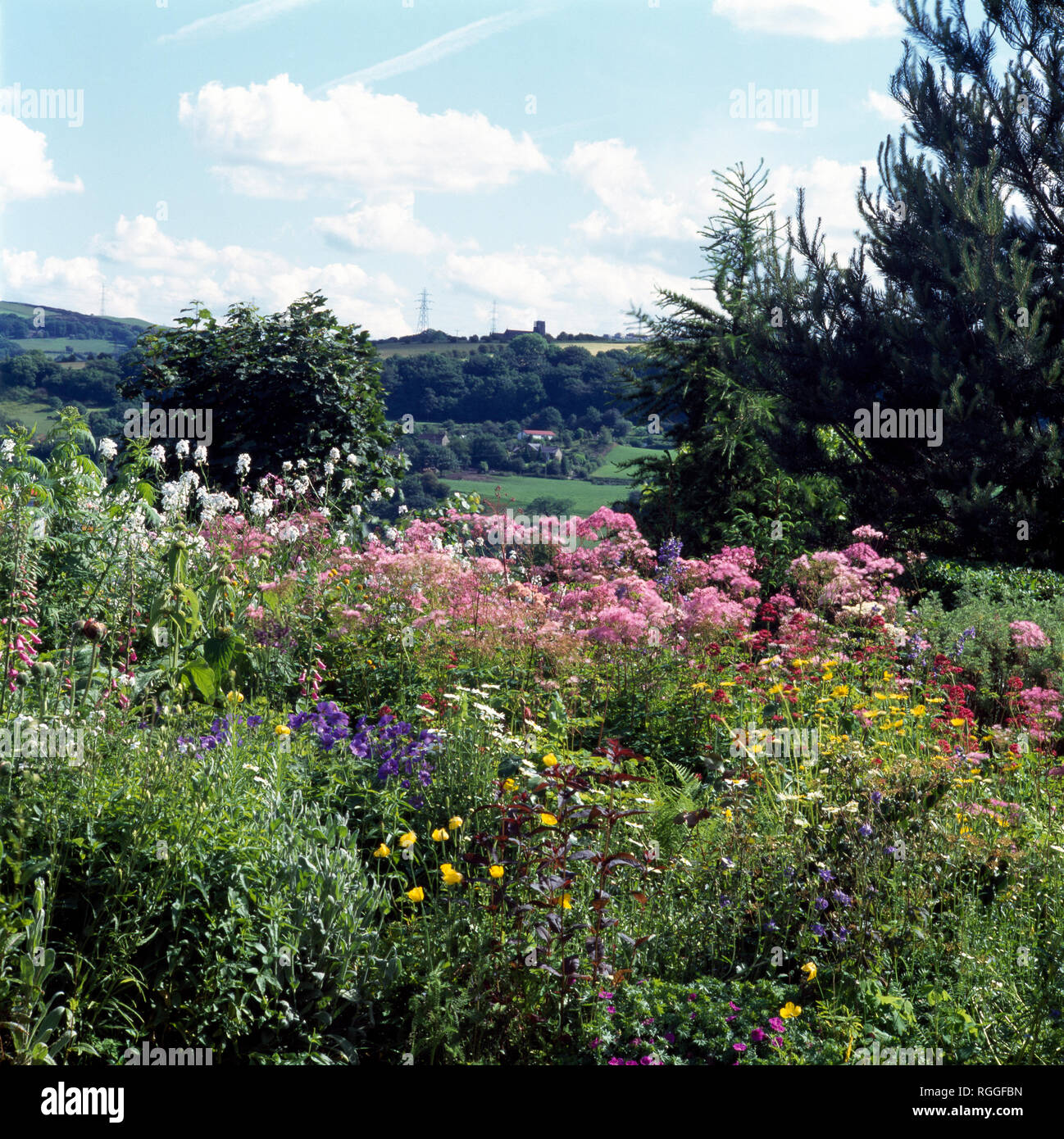 Wild Flower Border High Resolution Stock Photography and Images - Alamy