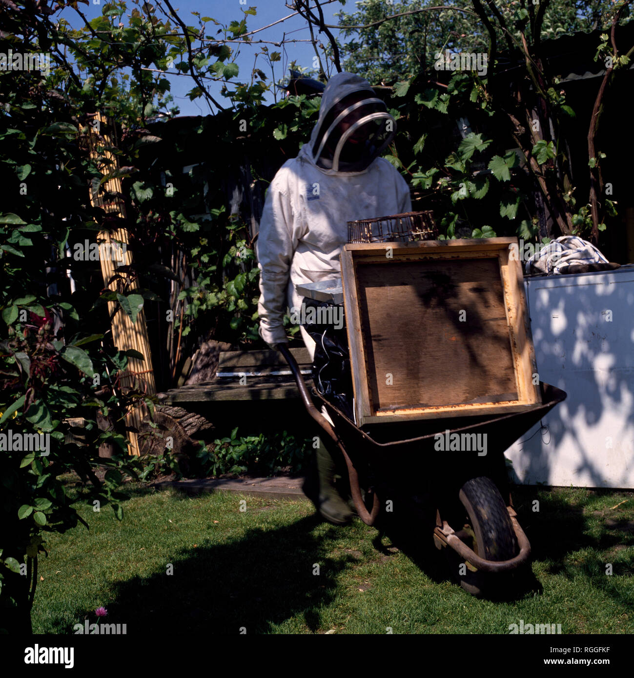 Bee keeper with part of bee hive on wheelbarrow Stock Photo - Alamy
