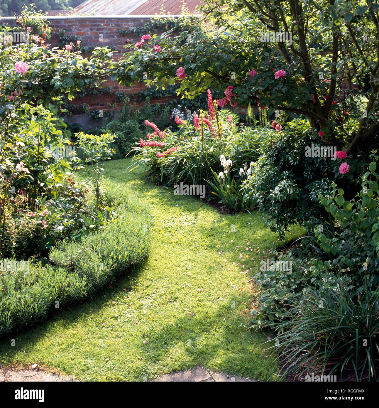 Grass path through borders in walled garden Stock Photo - Alamy