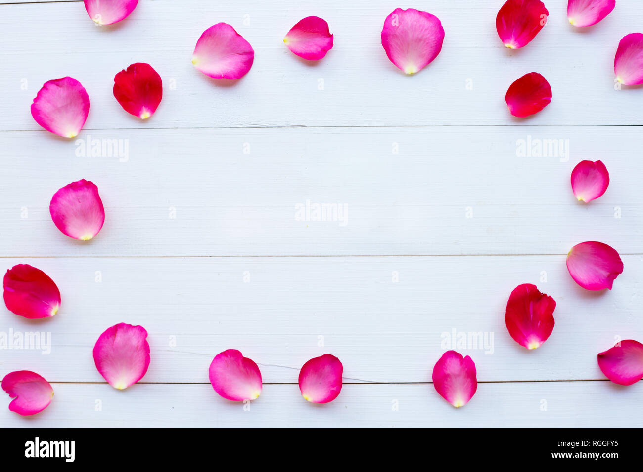 Rose petals on white wooden background Stock Photo - Alamy