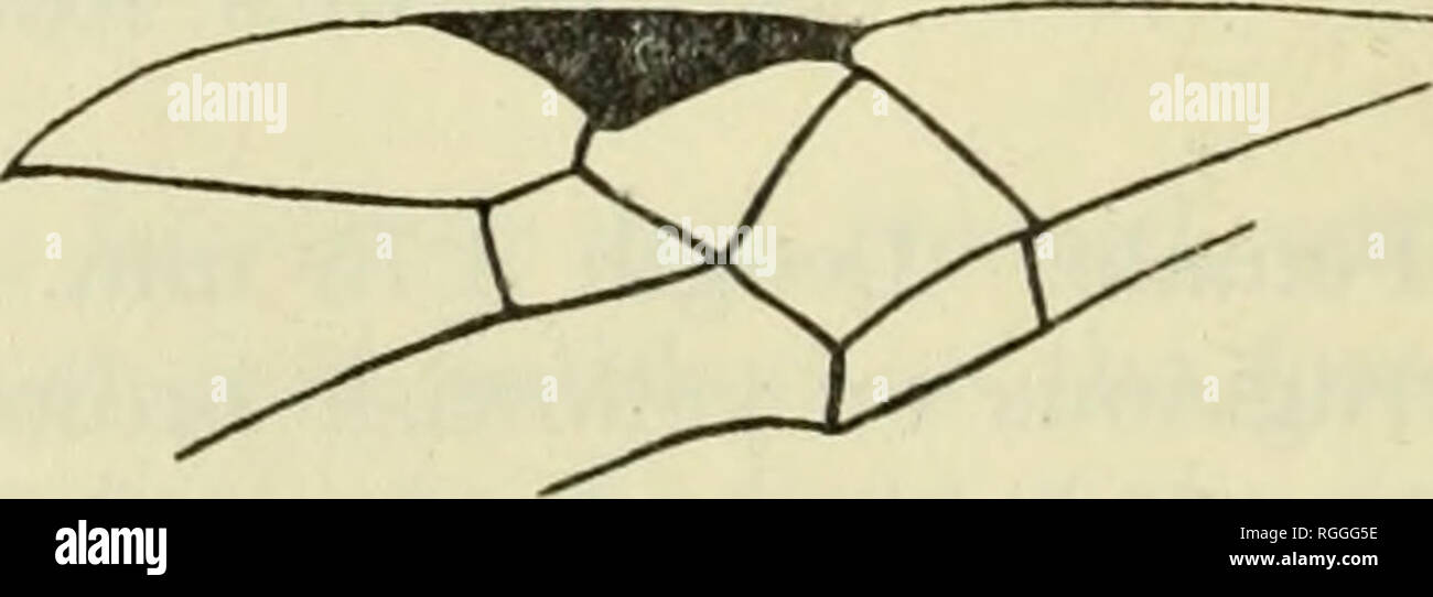 . Bulletin of the Museum of Comparative Zoology at Harvard College ...