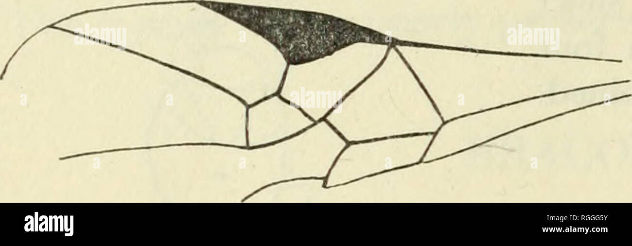 . Bulletin of the Museum of Comparative Zoology at Harvard College ...