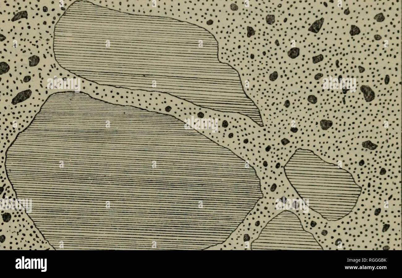 Tillite hi-res stock photography and images - Alamy