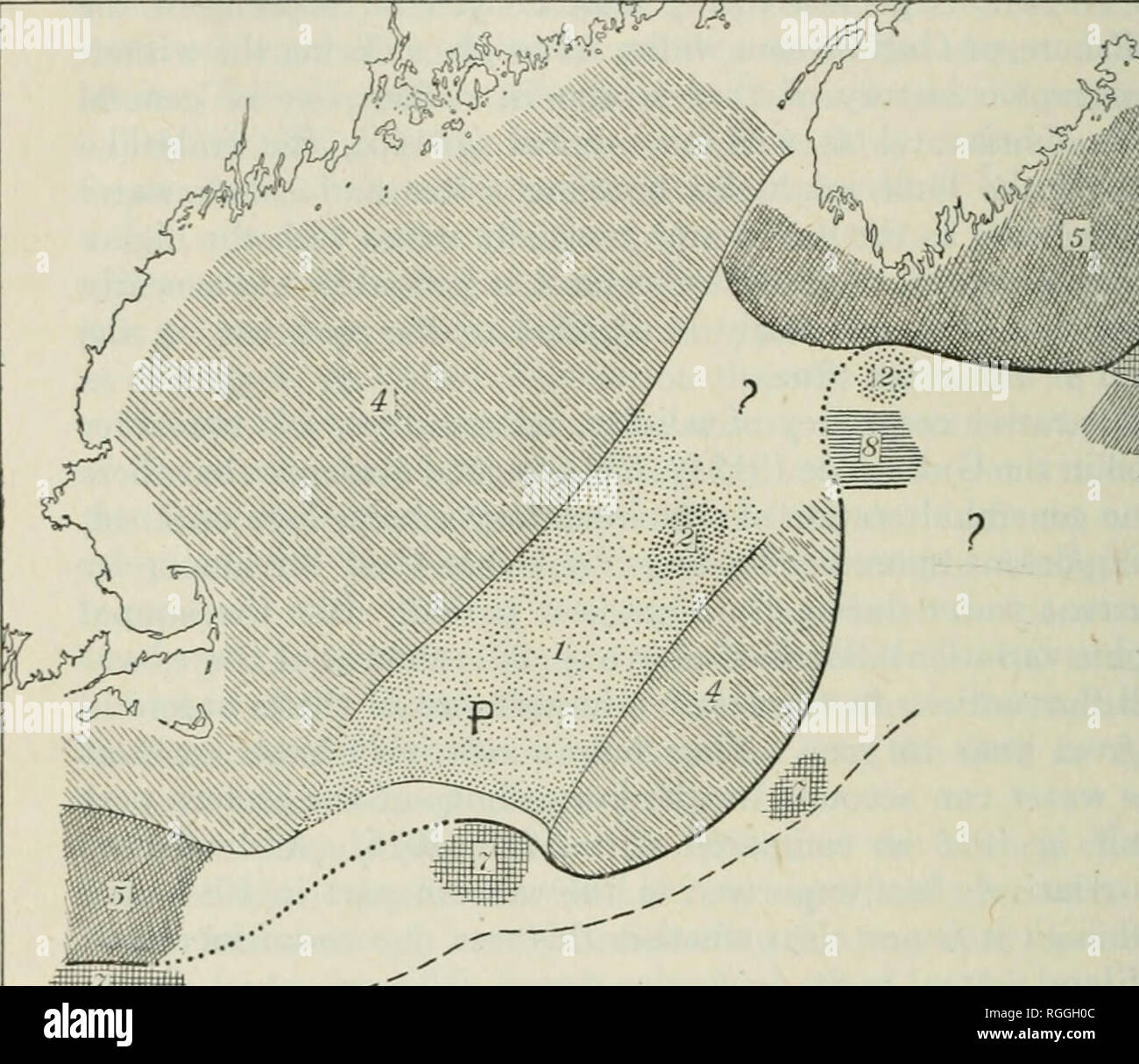 Macroplankton hi-res stock photography and images - Alamy