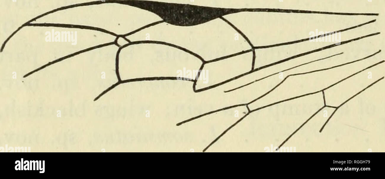 . Bulletin of the Museum of Comparative Zoology at Harvard College ...