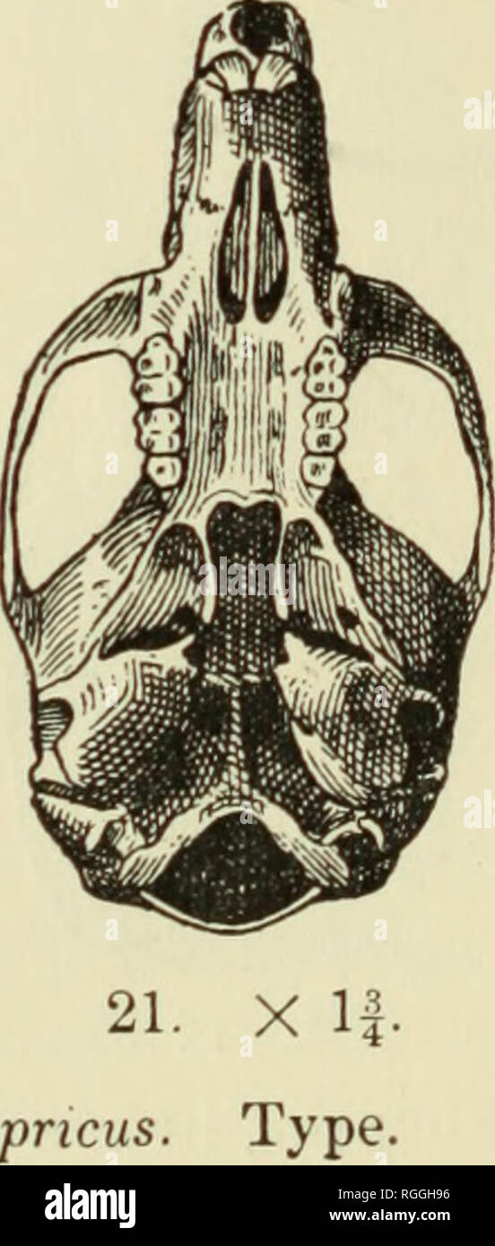 . Bulletin of the Museum of Comparative Zoology at Harvard College ...