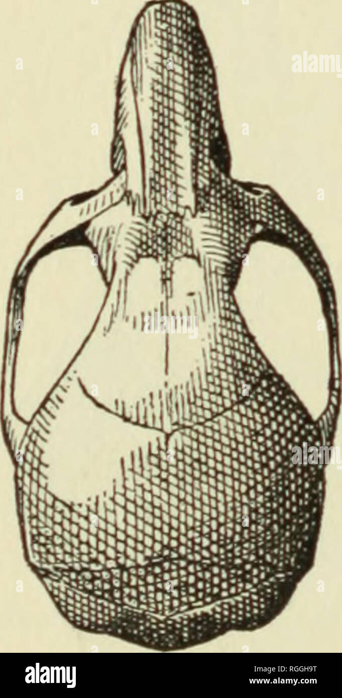 Dusky fingers hi-res stock photography and images - Alamy