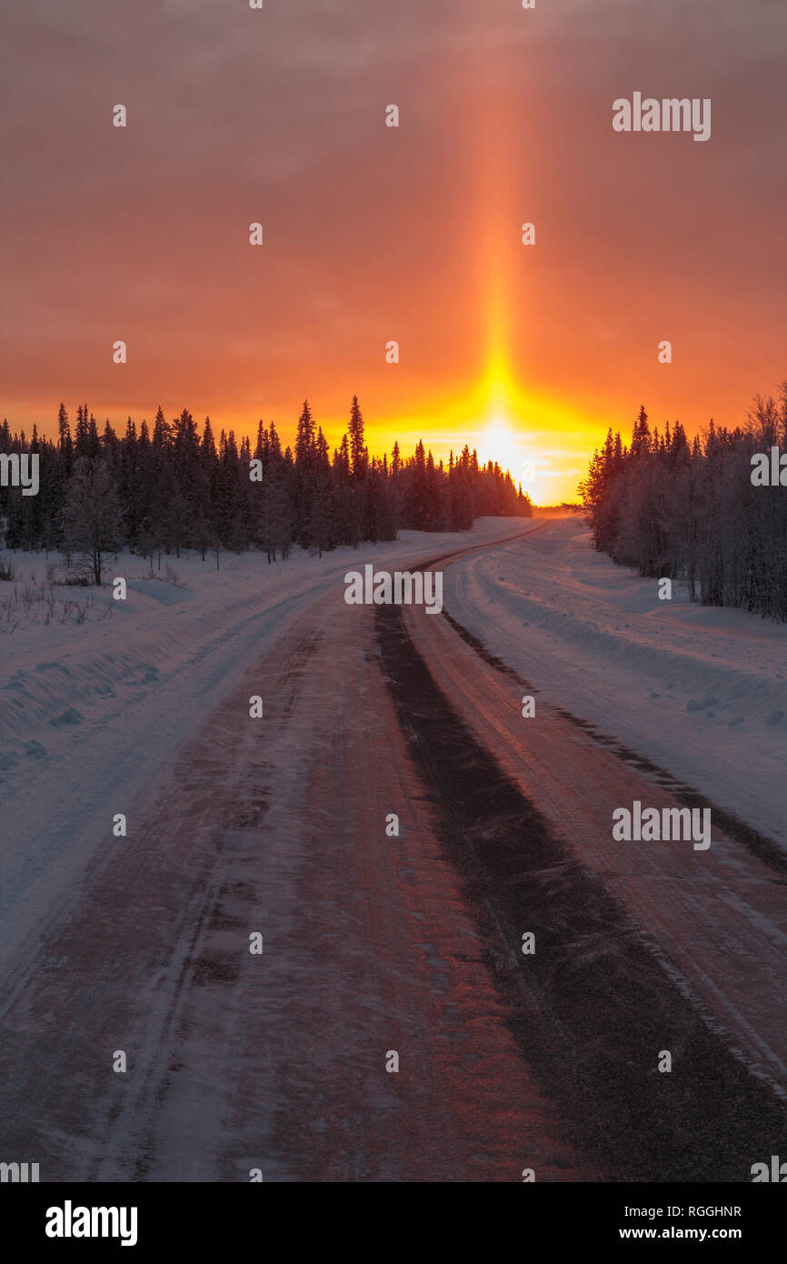 Winter landscape in direct light, shining through trees in a forest and ...