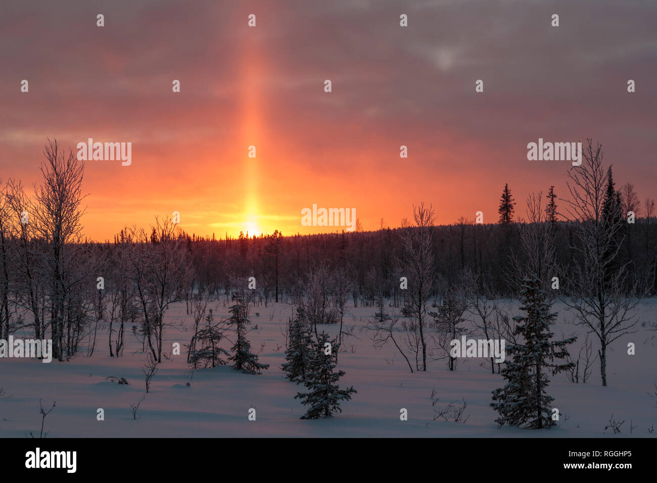 Winter landscape in direct light, shining through trees in a forest and ...