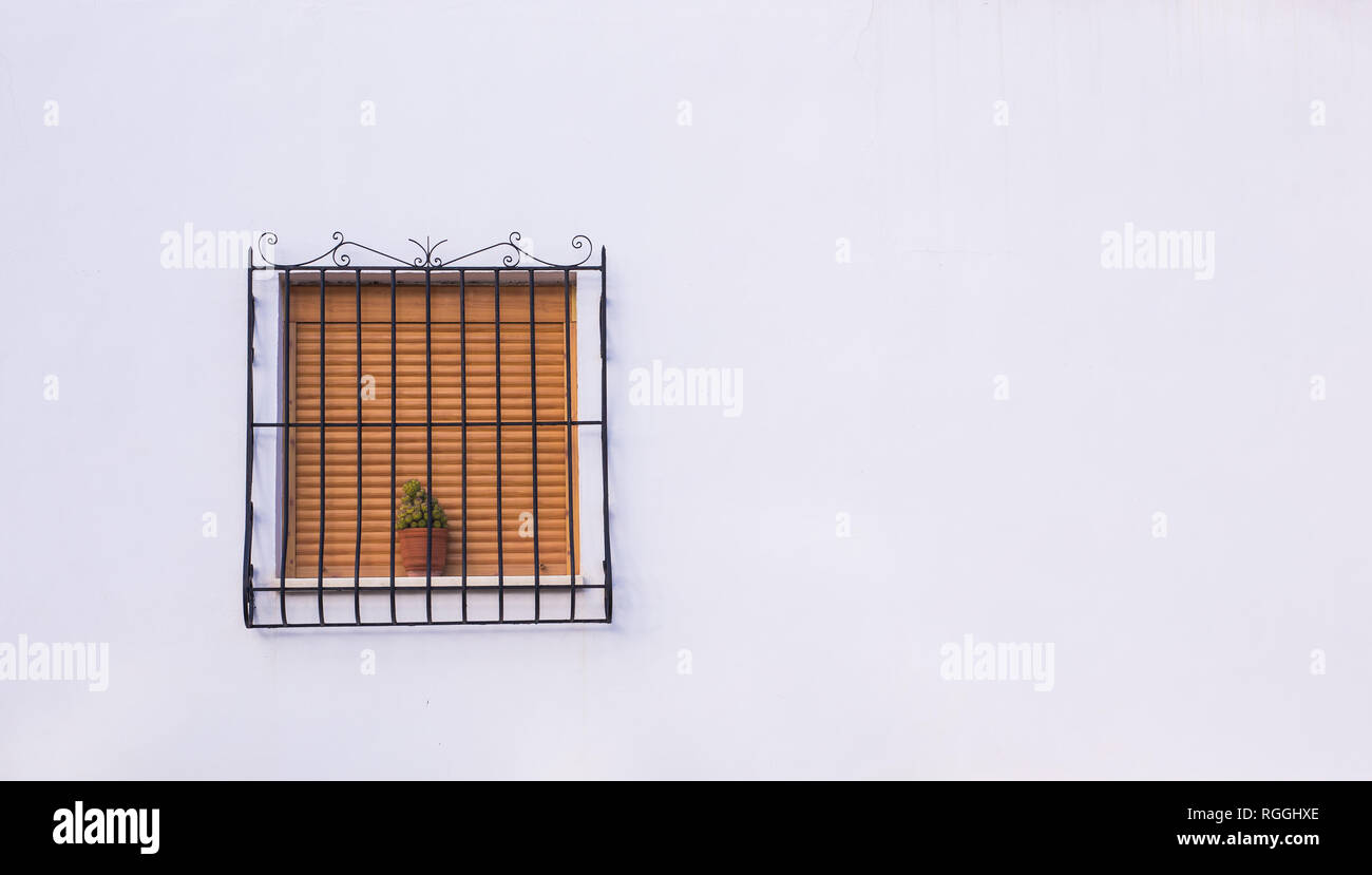 Design, architecture and exterior concept - Window with lattice on ...