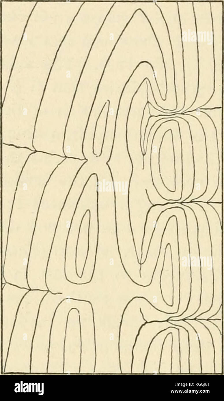 Gashed head hi-res stock photography and images - Alamy