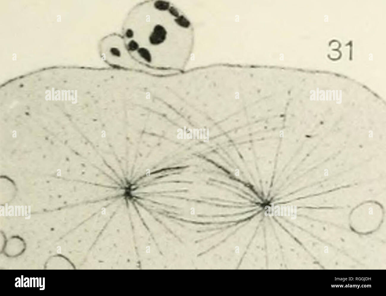 32a b hi-res stock photography and images - Alamy