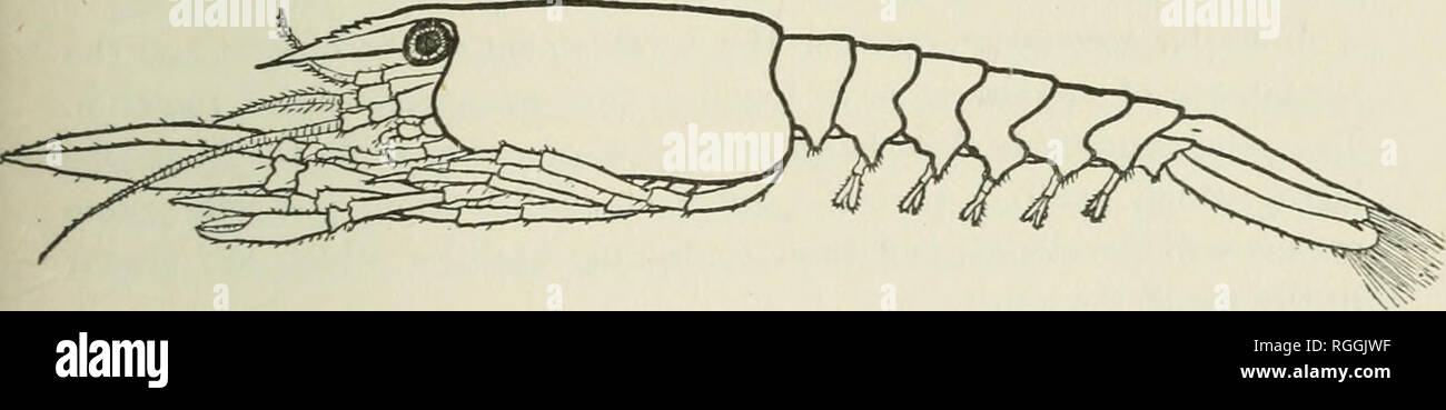 Stable lateral position hi-res stock photography and images - Alamy