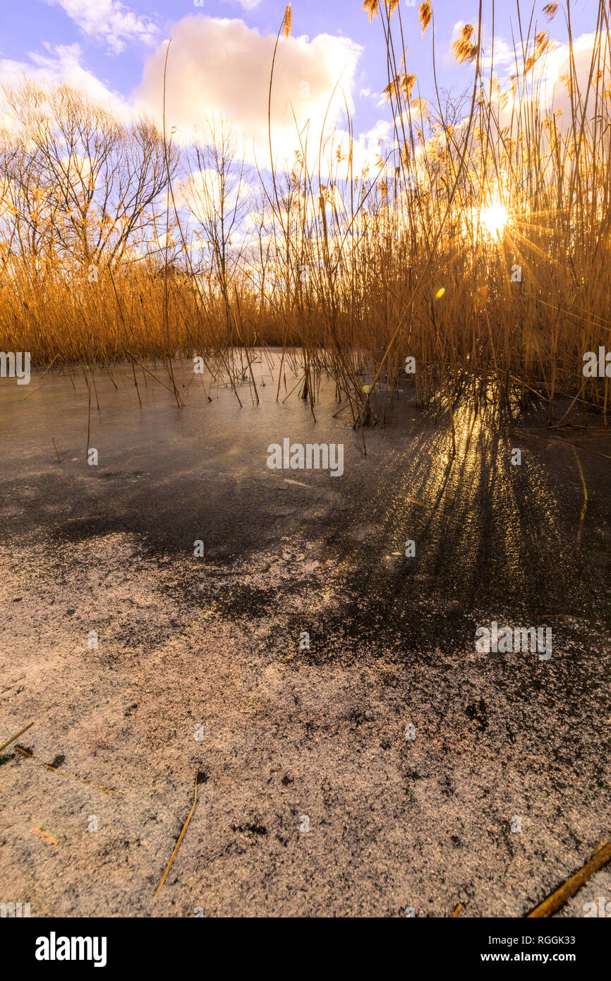 Frozen lake in the light of sunrise below a blue sky in winter in ...