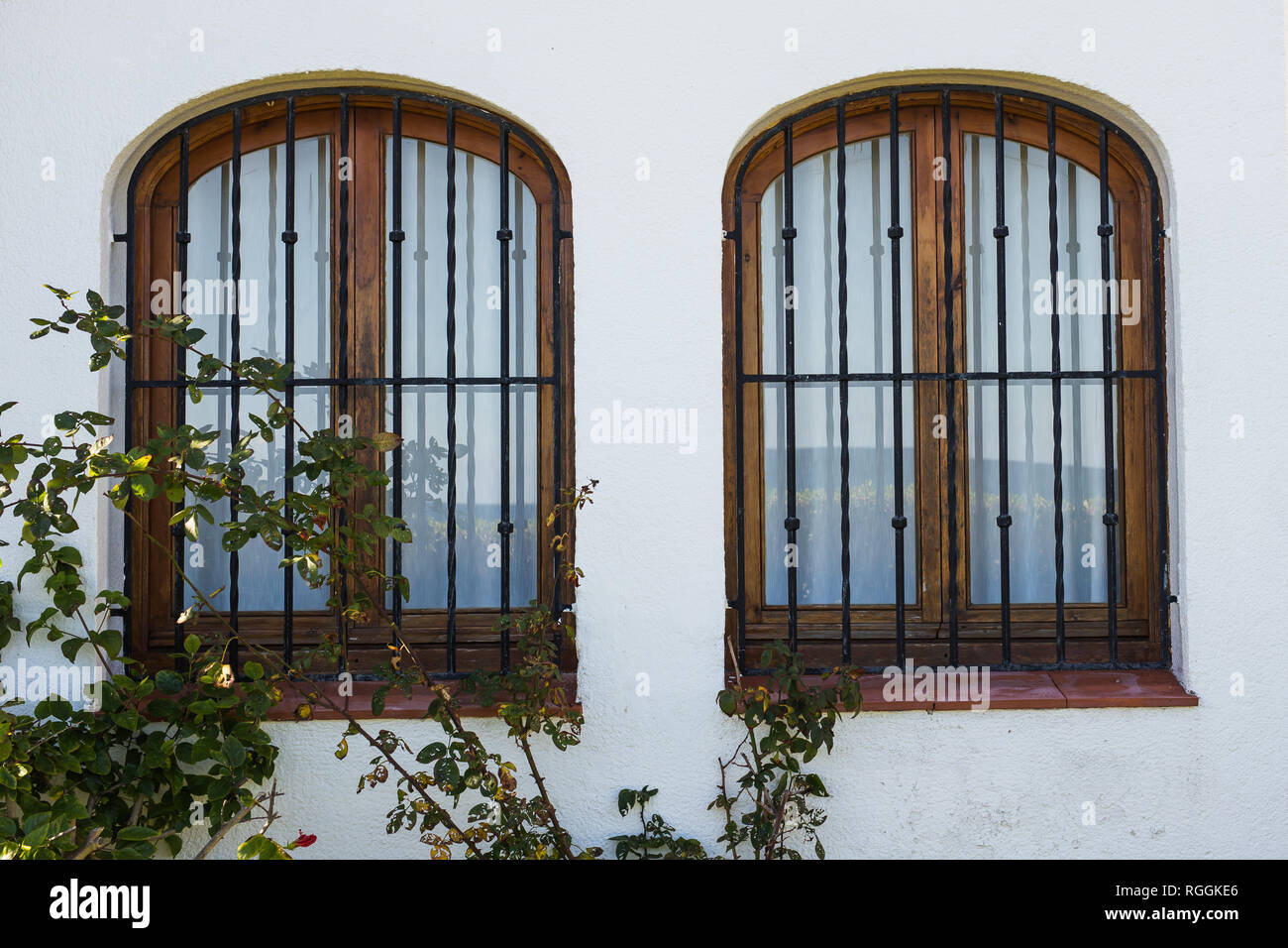 Design, architecture and exterior concept - Two windows with lattice on ...
