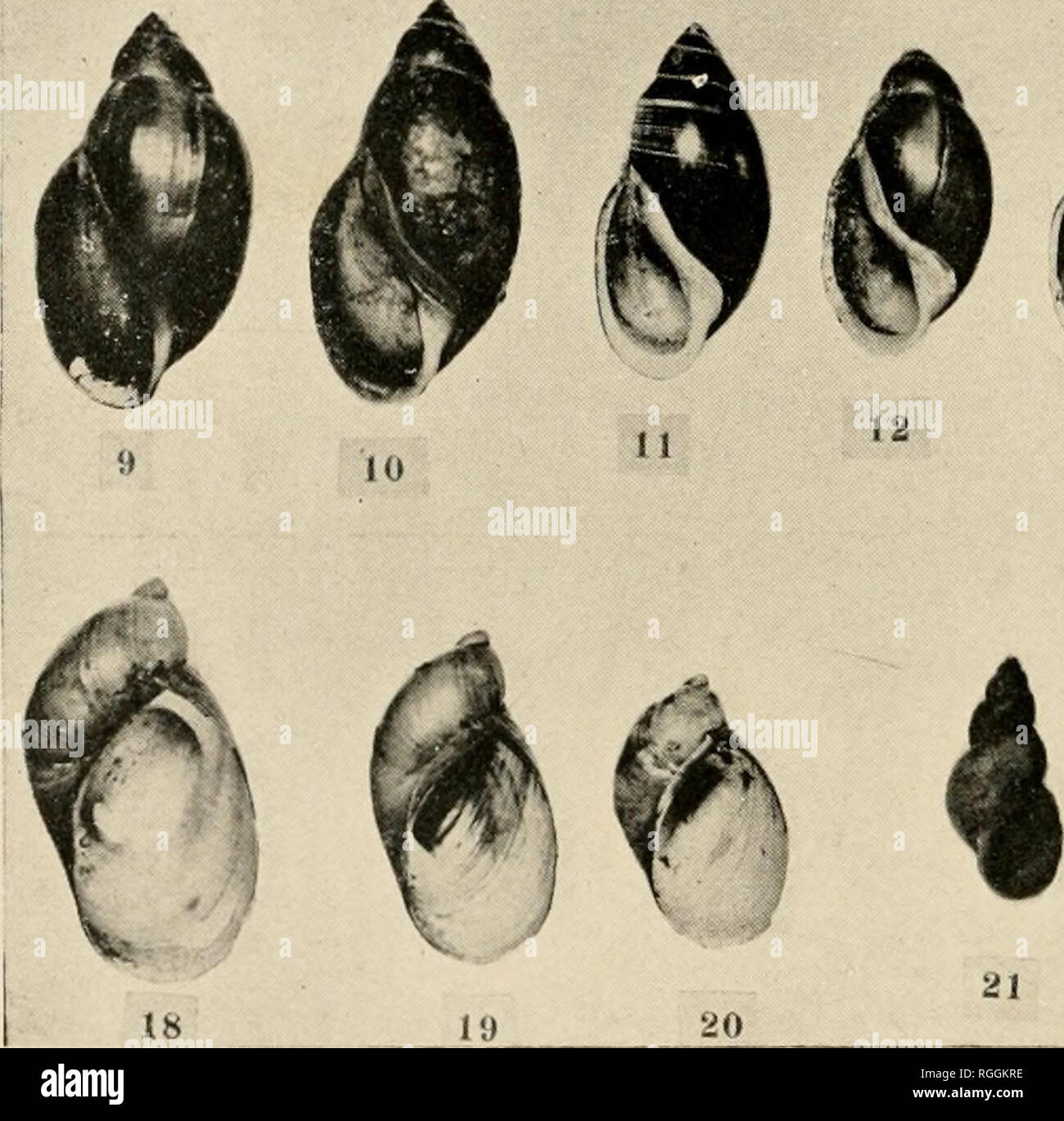 Ra walker hi-res stock photography and images - Alamy