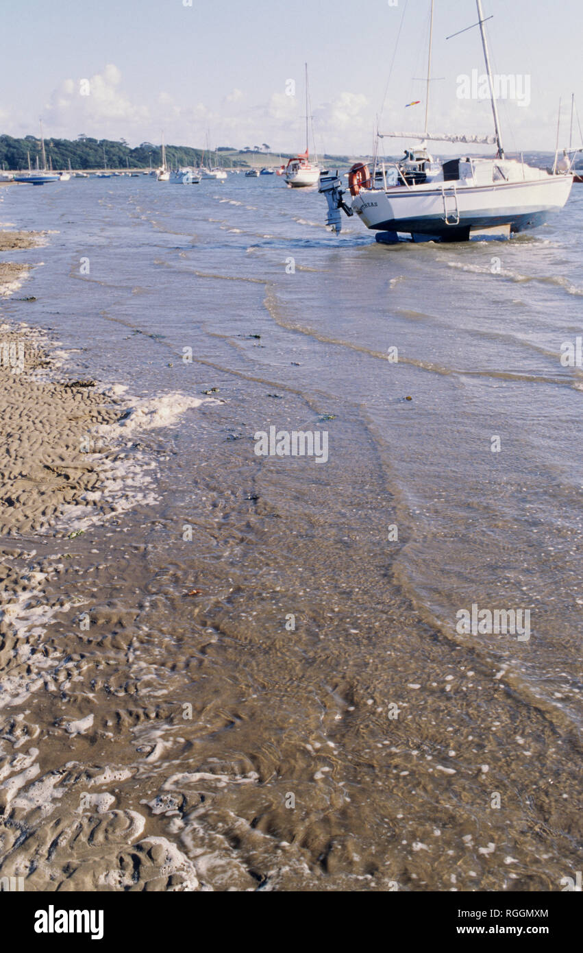 Appledore beach in Devon Stock Photo - Alamy