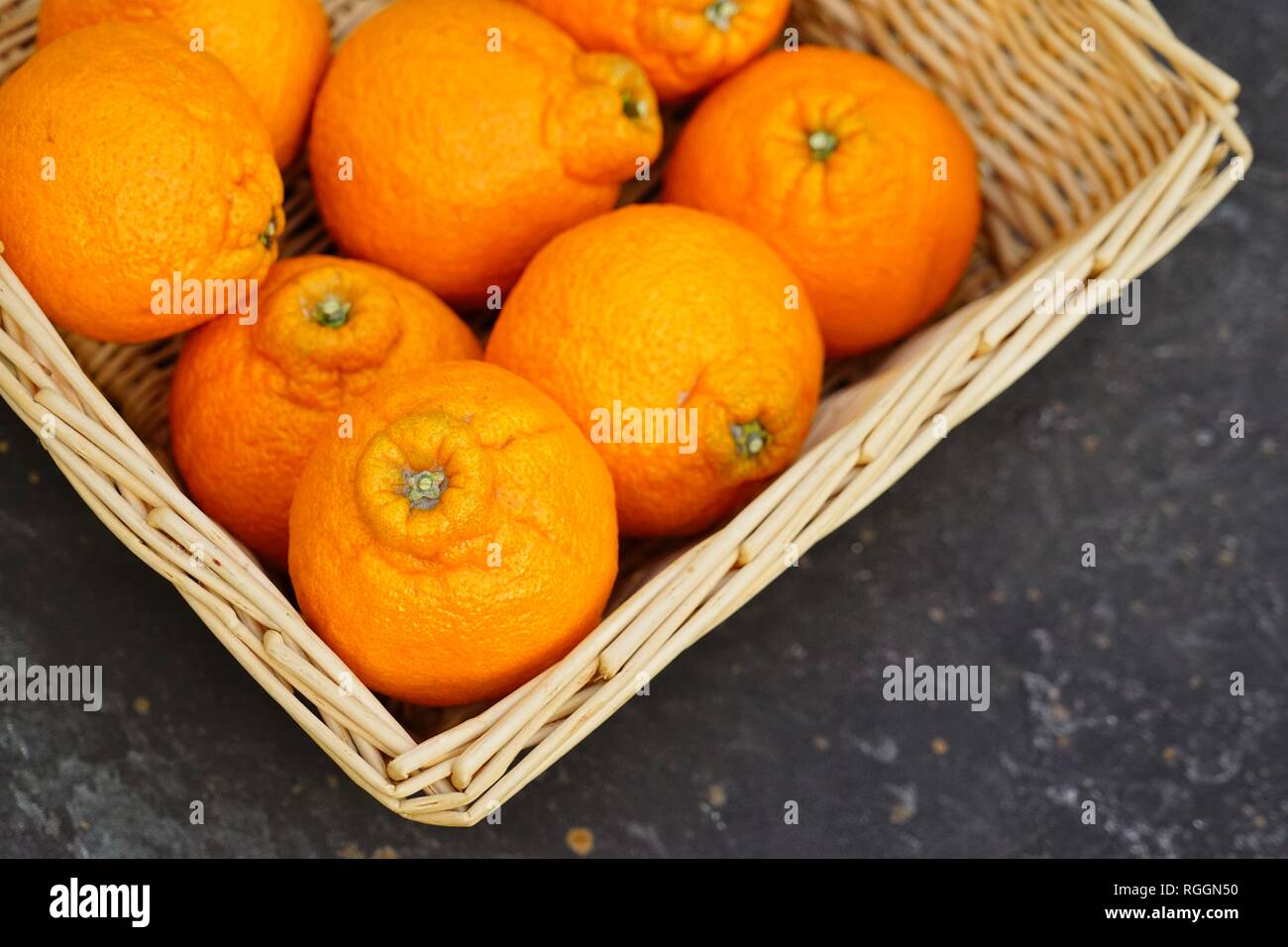 Sumo citrus giant mandarin orange fruit Stock Photo - Alamy