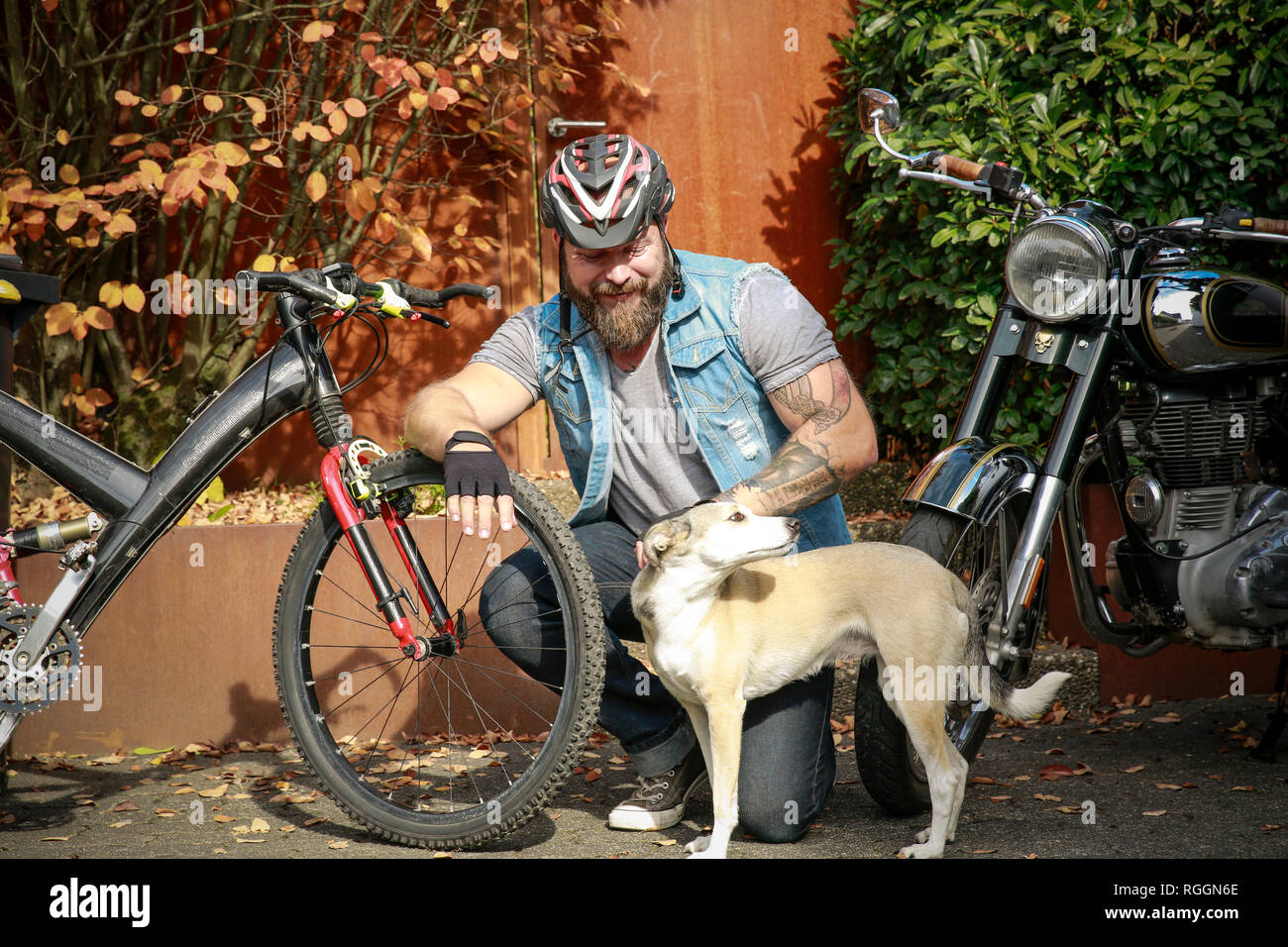 Dog Bicycle Riding Stock Photos & Dog Bicycle Riding Stock Images - Alamy