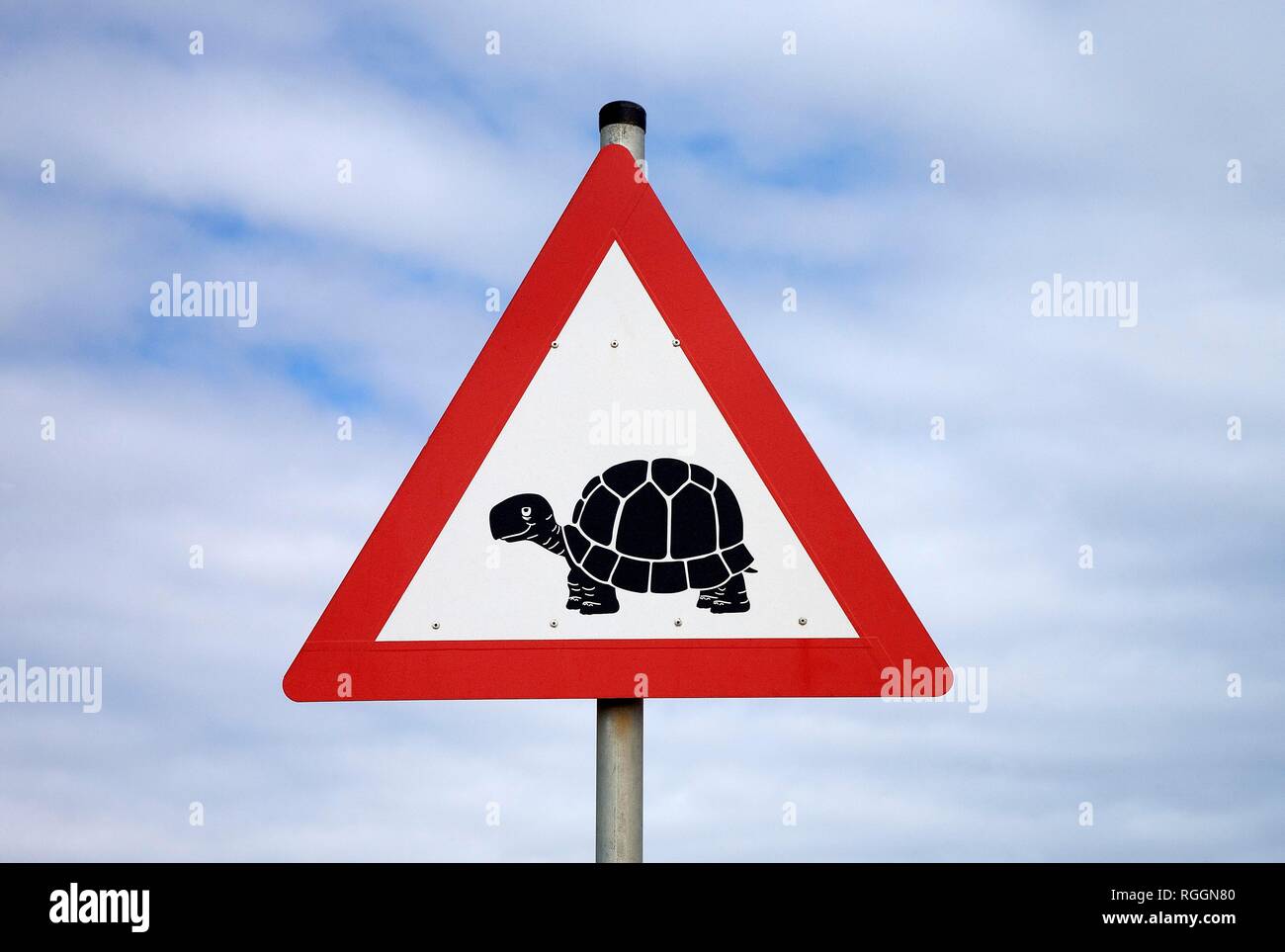 Turtle crossing sign hi-res stock photography and images - Alamy