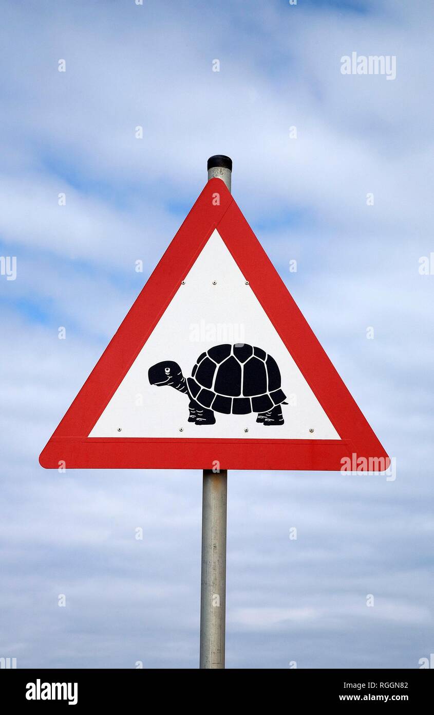 Road sign, Attention, Turtles crossing the road, South Africa Stock ...