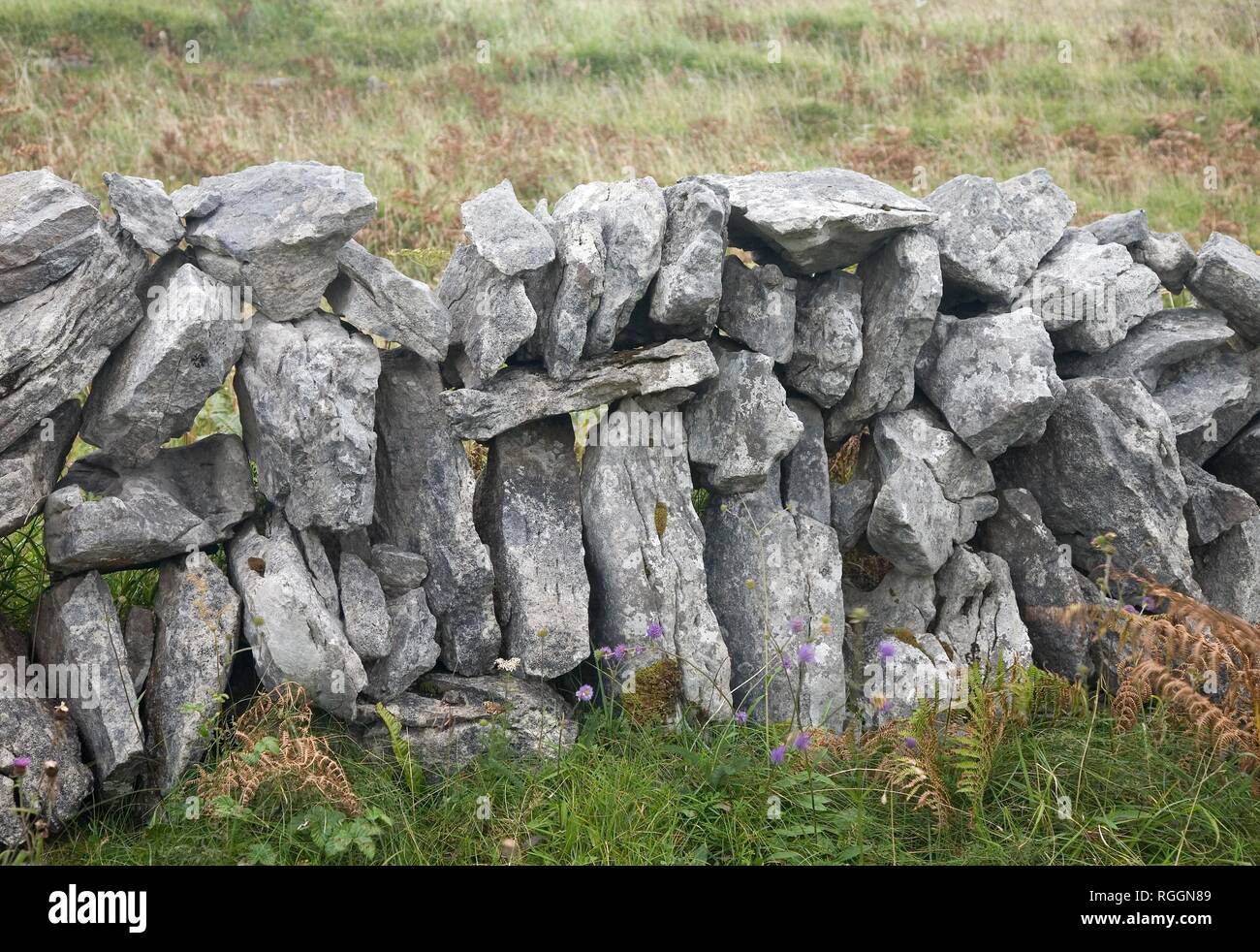 Made ireland hi-res stock photography and images - Alamy