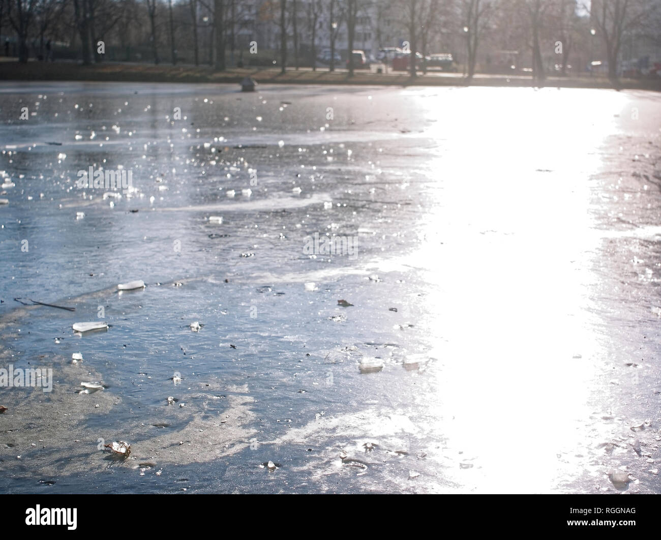 First autumn leaf hi-res stock photography and images - Alamy