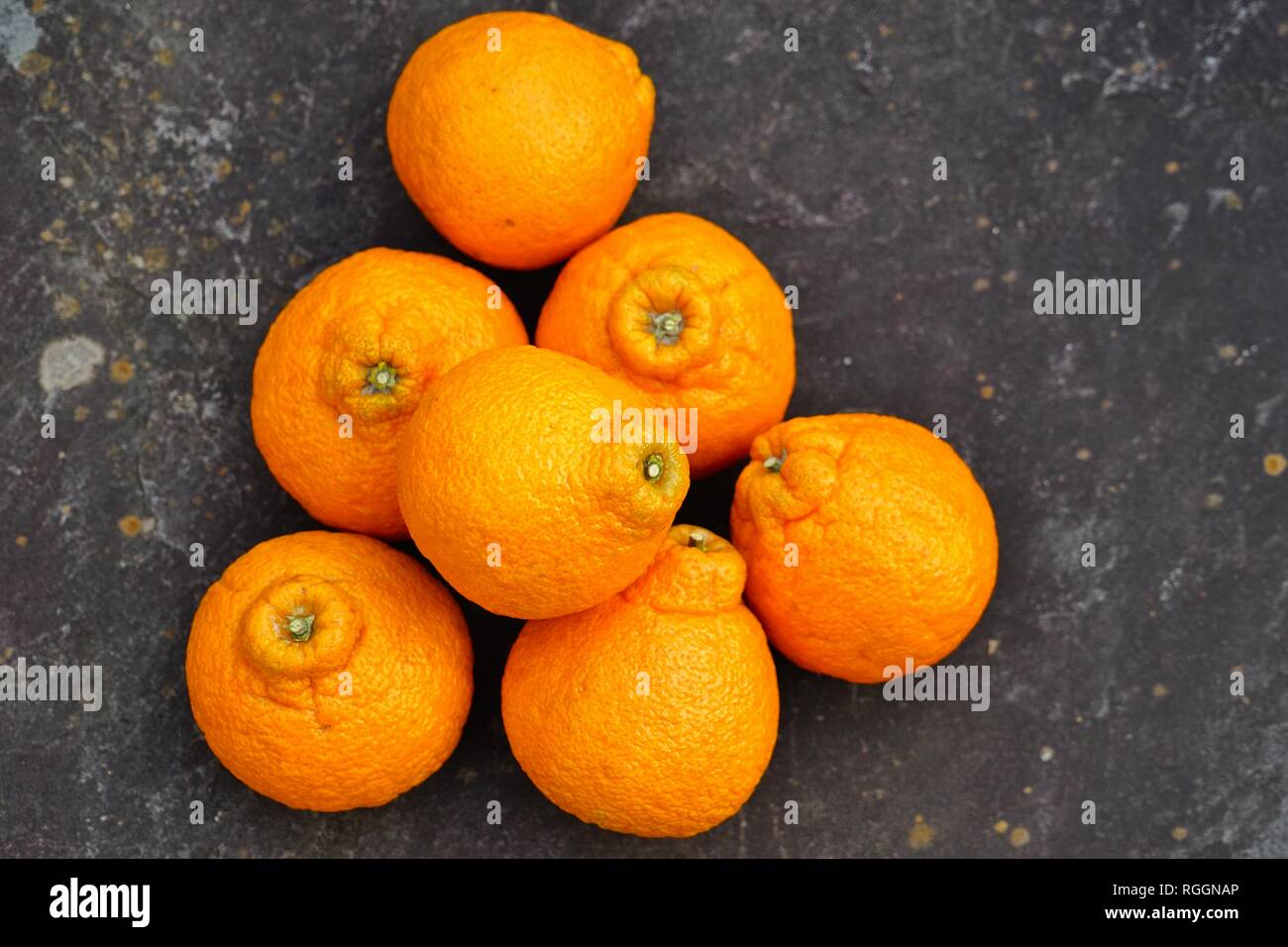 Sumo citrus giant mandarin orange fruit Stock Photo - Alamy