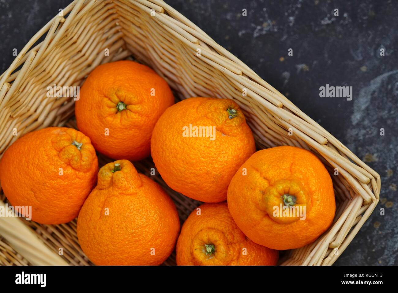 Sumo citrus giant mandarin orange fruit Stock Photo - Alamy
