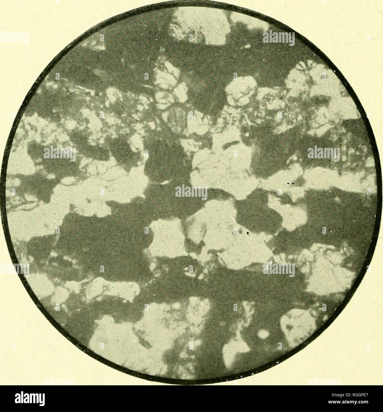 . Bulletin of the Geological Society of America. Geology. Figure 1 ...