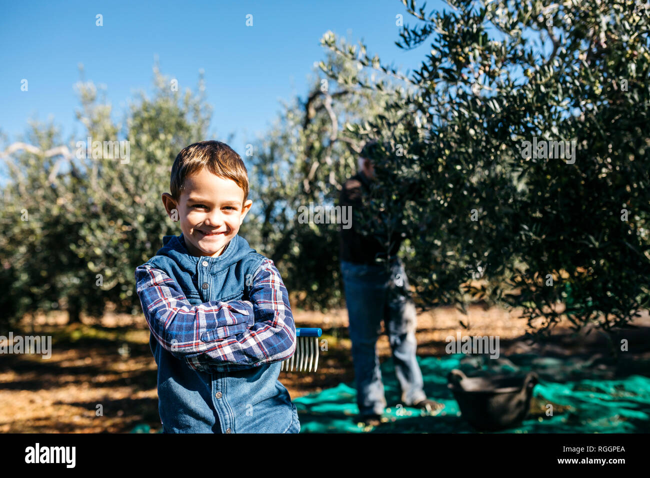 Portrait of smiling boy with his grandfather in olive orchard Stock ...