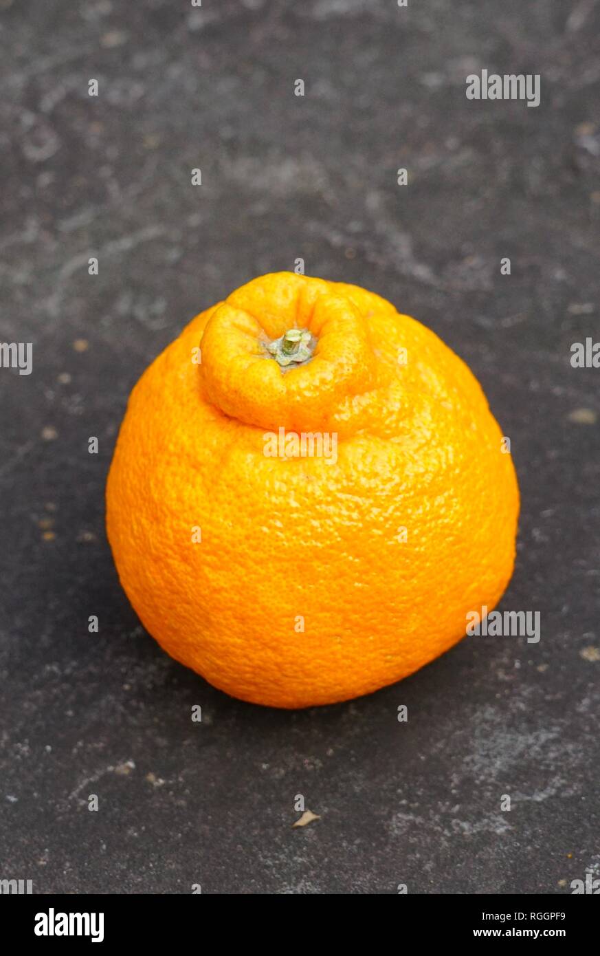 Sumo citrus giant mandarin orange fruit Stock Photo - Alamy