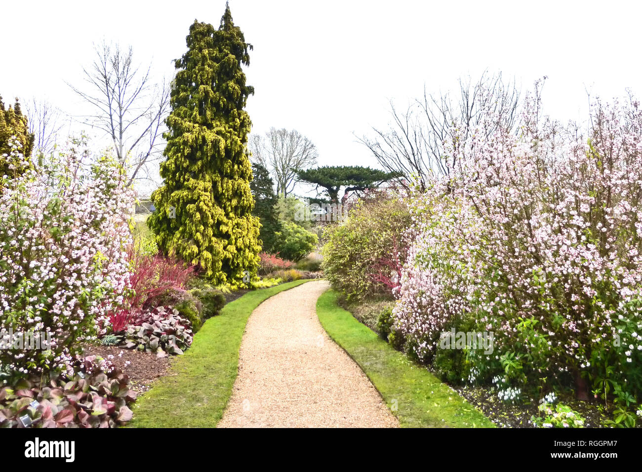 Cambridge botanic garden winter hi-res stock photography and images - Alamy