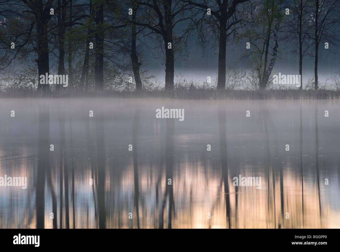 Dark haze hi-res stock photography and images - Alamy