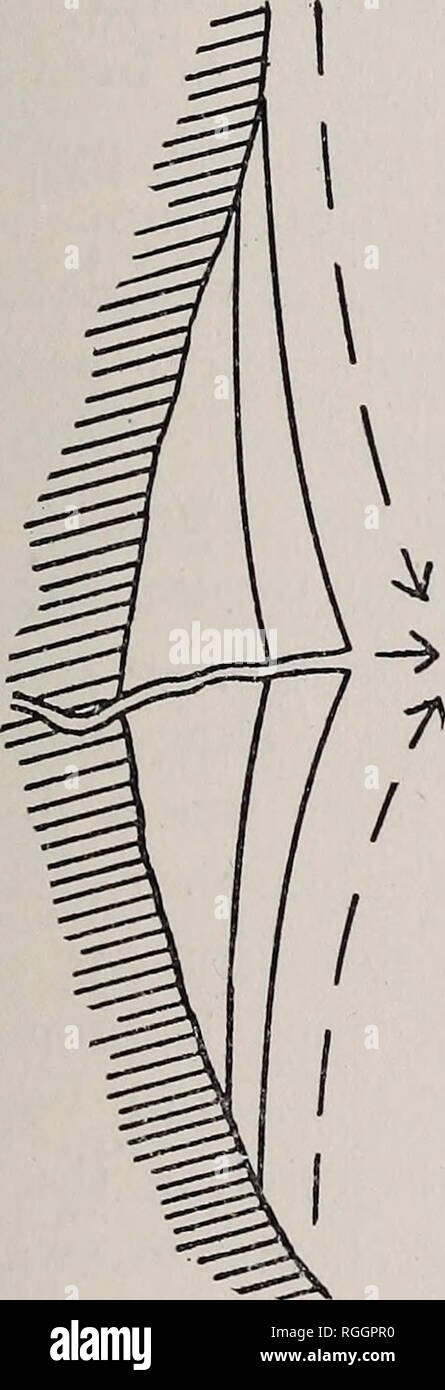 Rounded cusps hi-res stock photography and images - Alamy