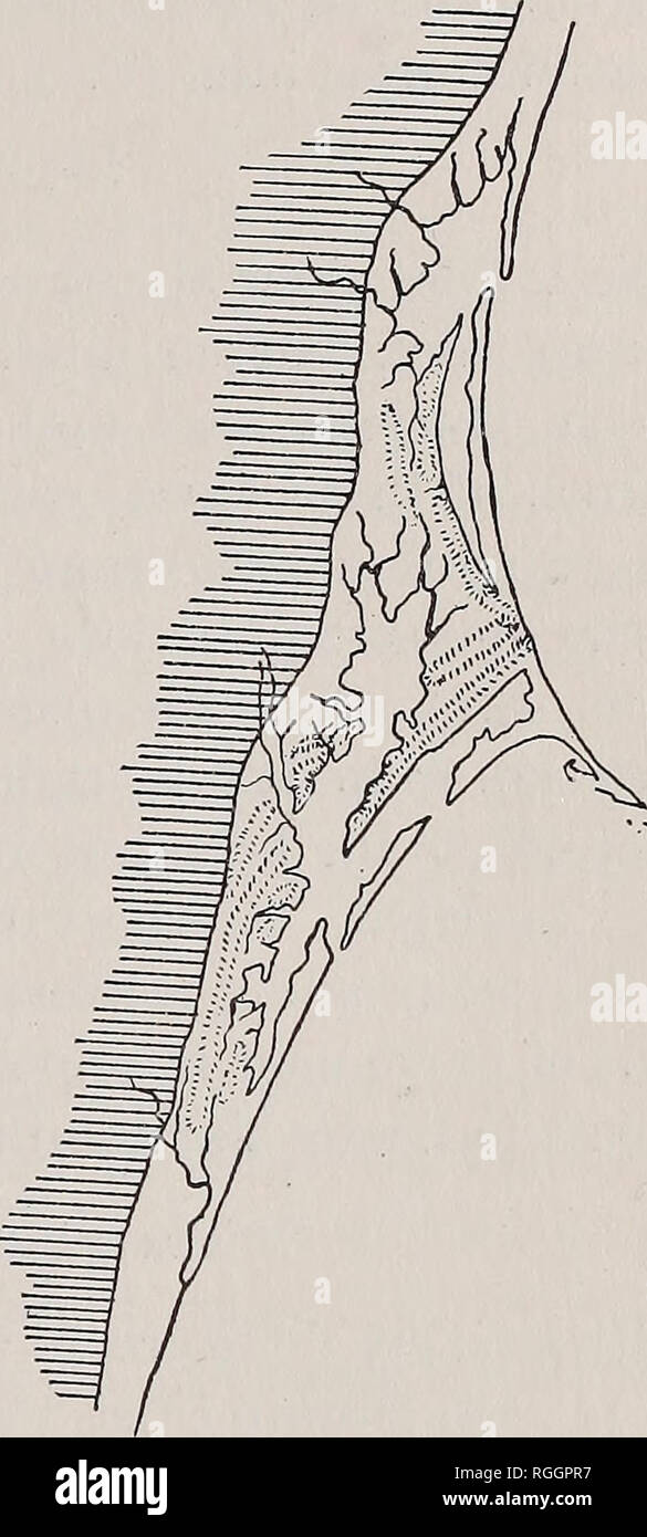 Cuspate foreland hi-res stock photography and images - Alamy