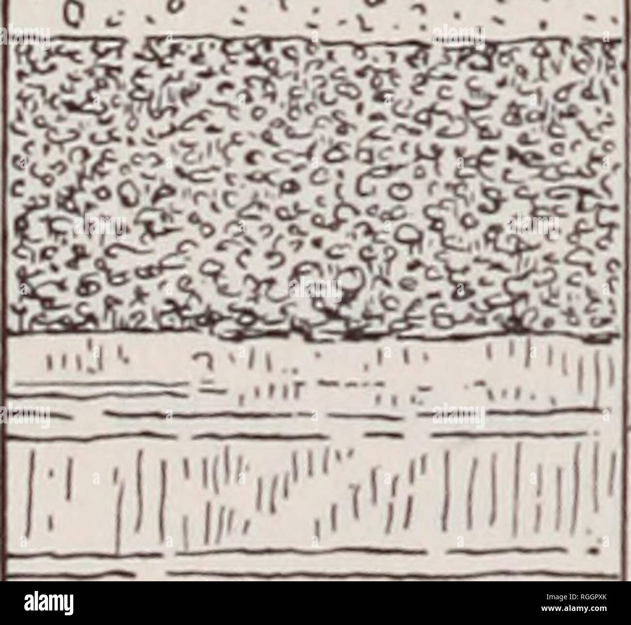 . Bulletin of the Geological Society of America. Geology. 54 G. M ...