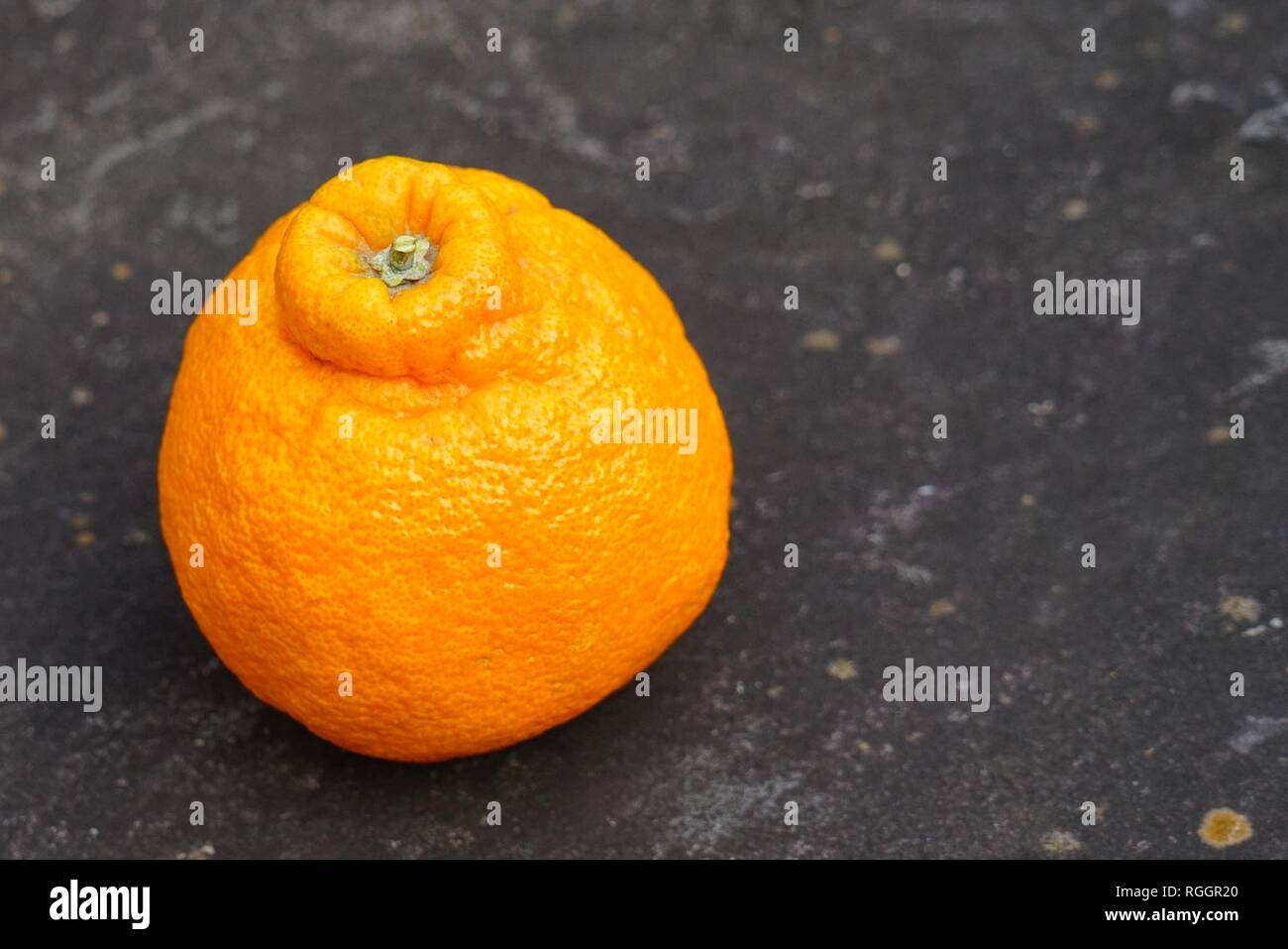 Sumo citrus giant mandarin orange fruit Stock Photo - Alamy