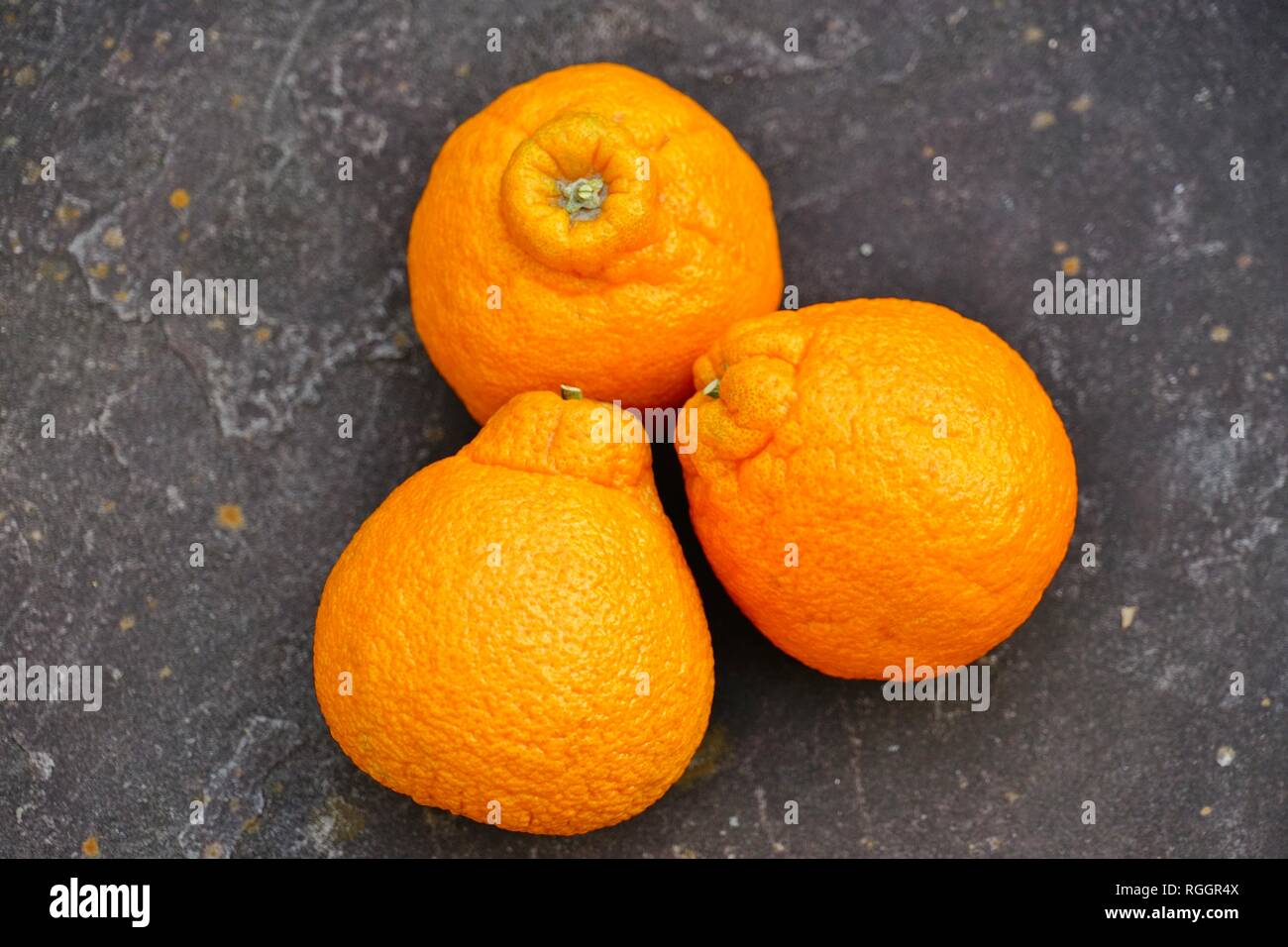 Sumo citrus giant mandarin orange fruit Stock Photo - Alamy