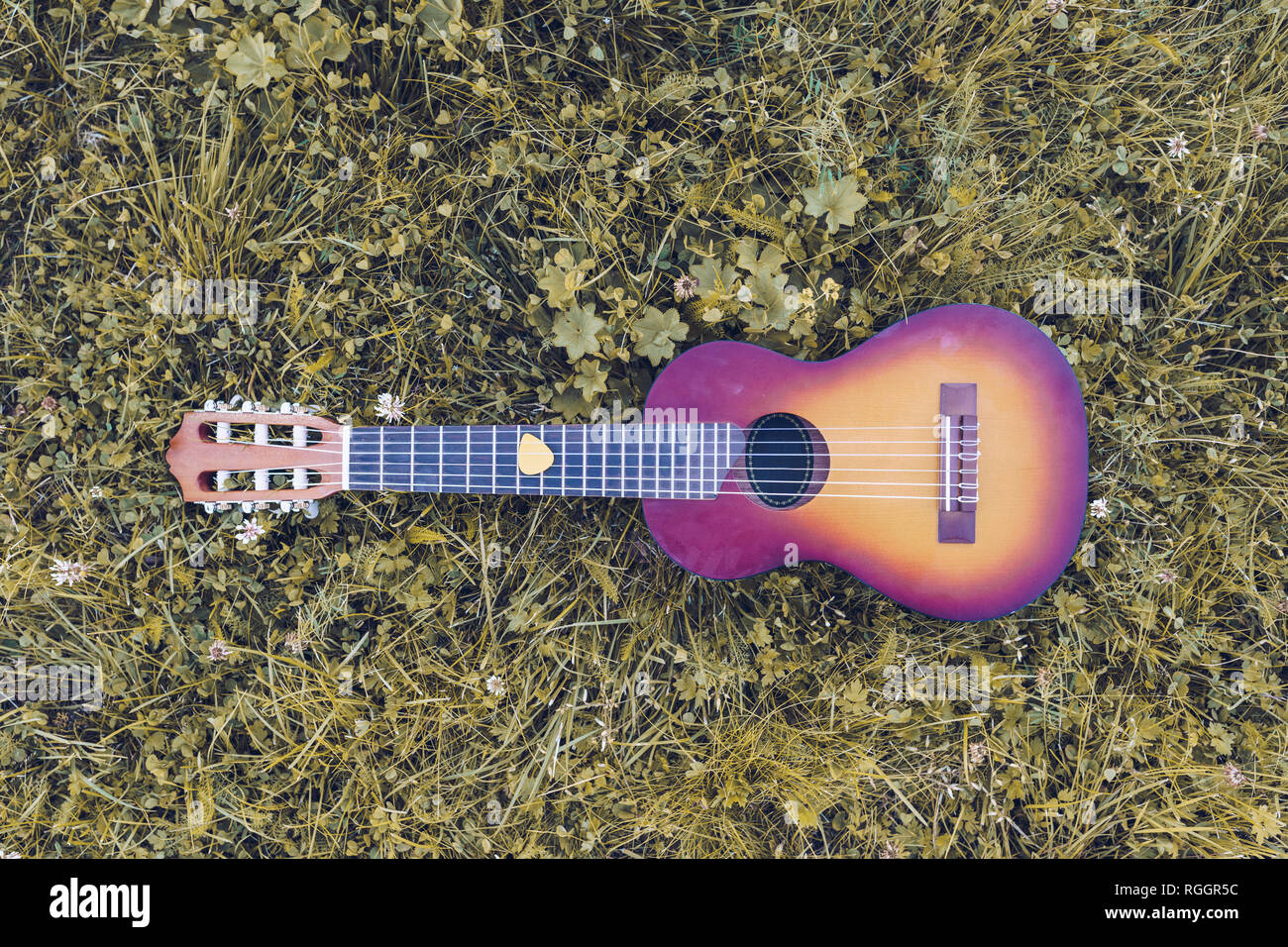 Ukulele lying on grass, top view Stock Photo - Alamy