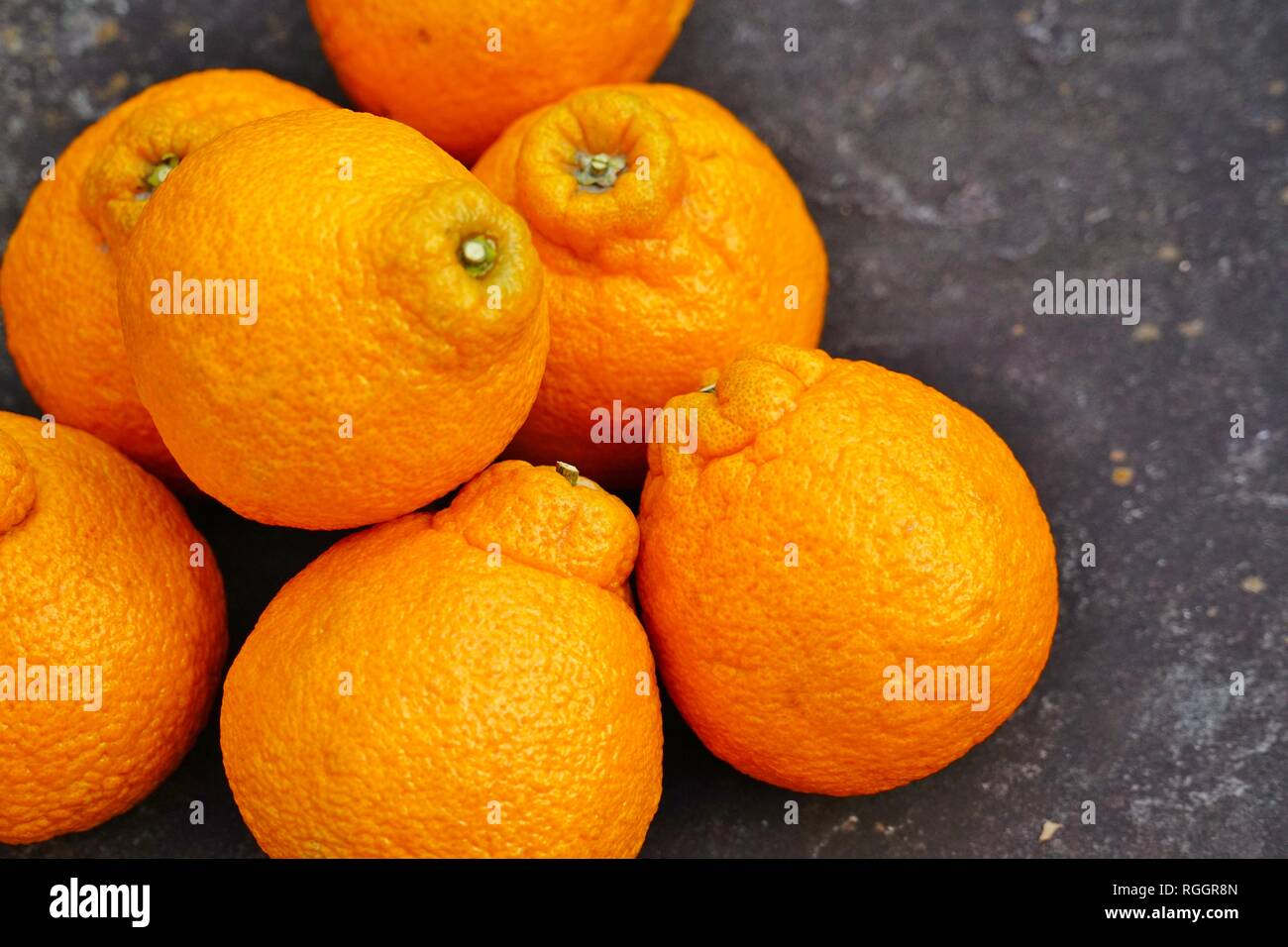 Sumo citrus giant mandarin orange fruit Stock Photo - Alamy